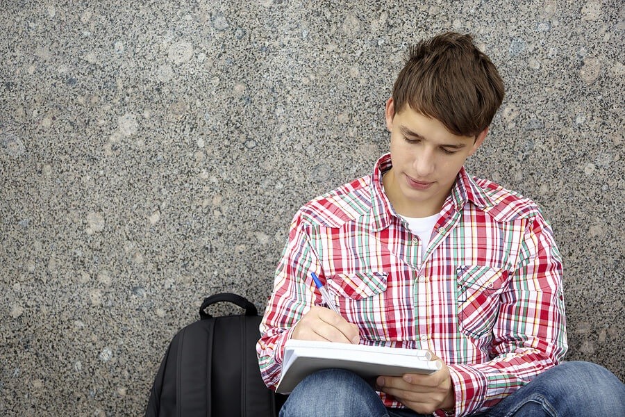 Computer Literacy Essay